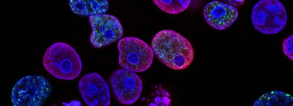 Life Science Expertise in Product Development | Team Consulting