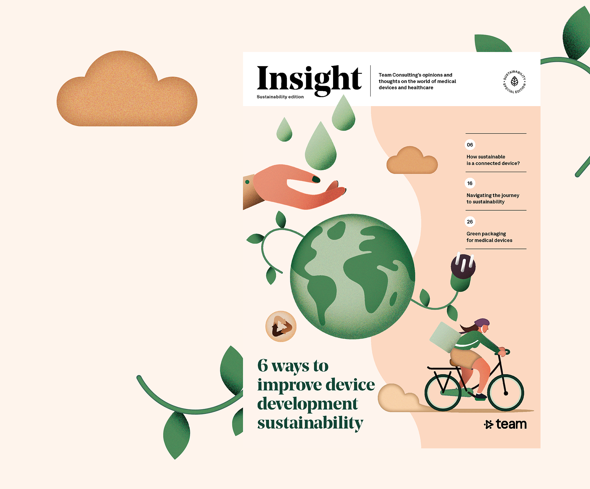 Insight is back! | Team Consulting