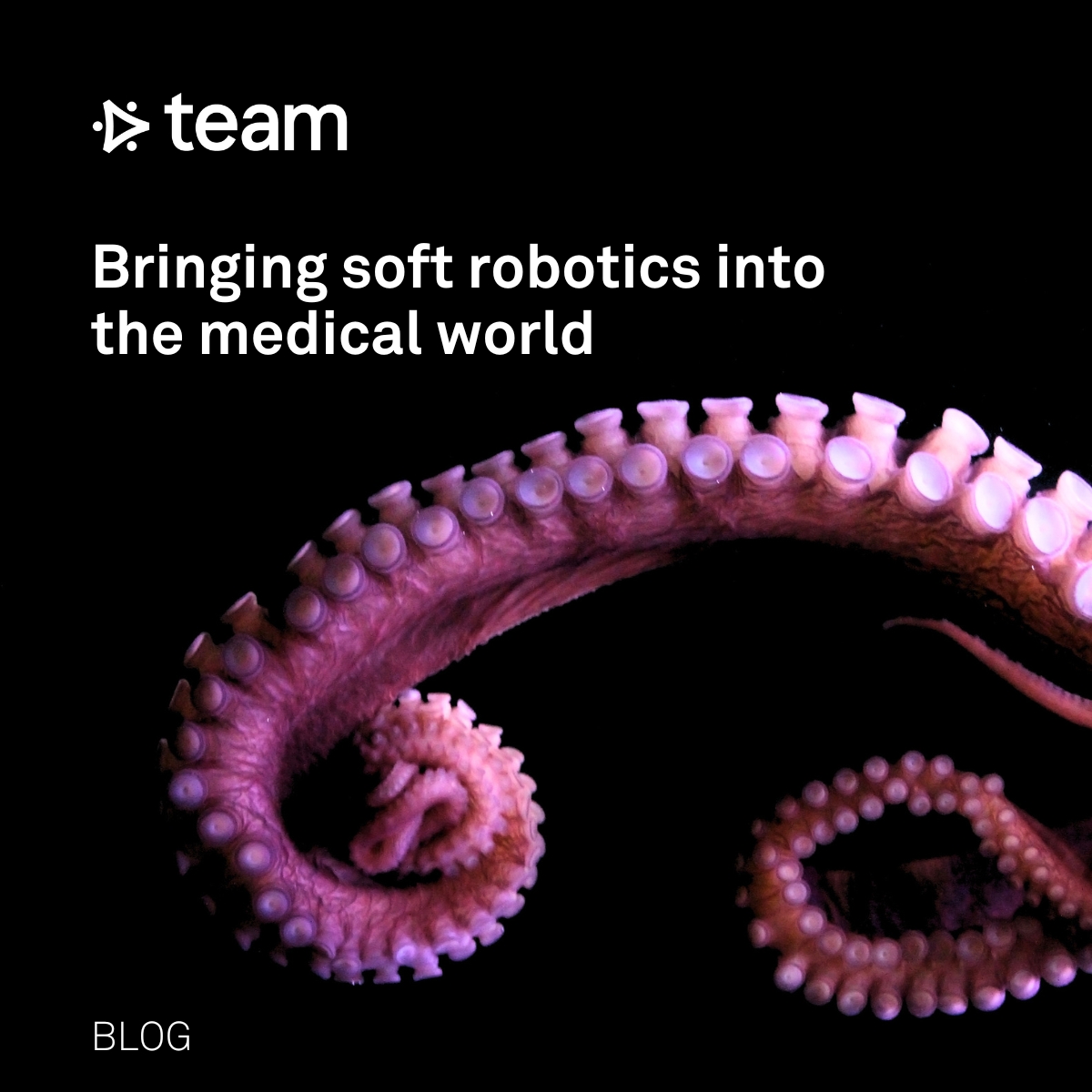 Soft robotics and the medical world | Team Consulting