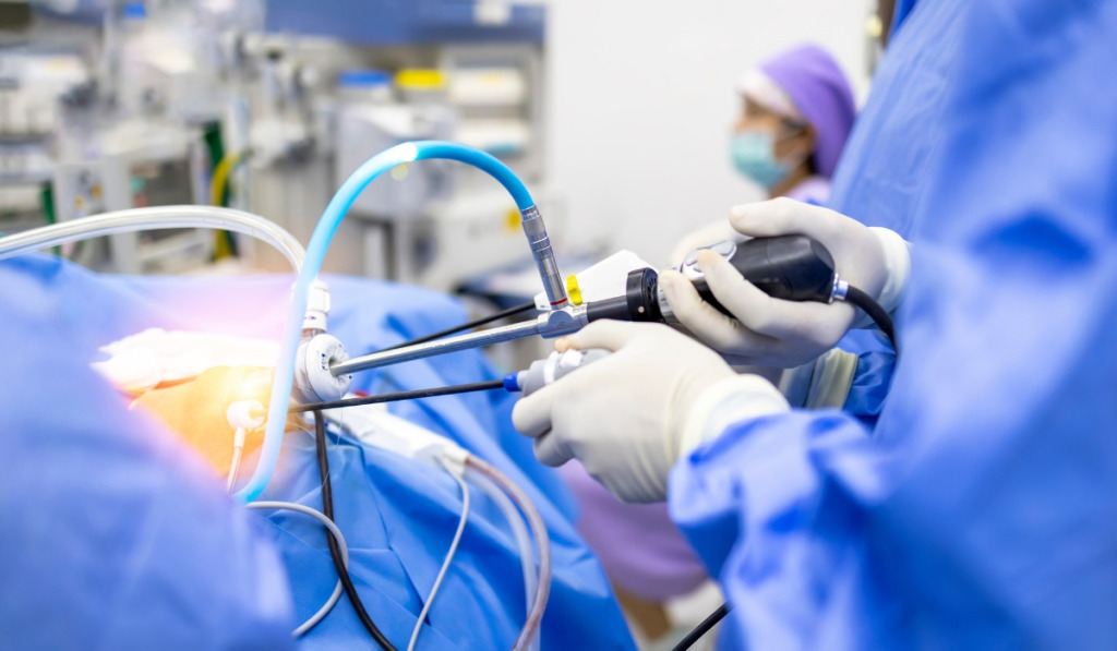 Bringing soft robotics into the medical world | Team Consulting