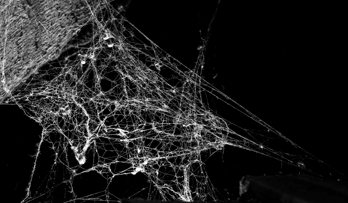 Bringing soft robotics into the medical world | Team Consulting