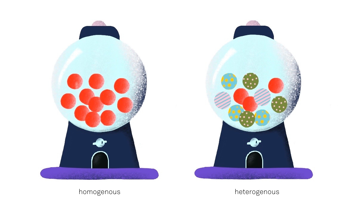 What are extracellular vesicles? | Team